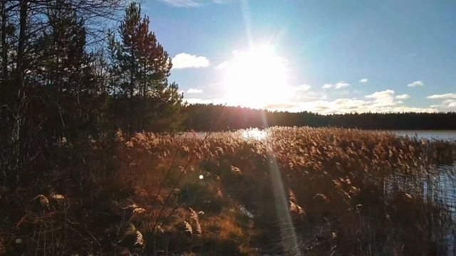 У берегов Калищенского озера