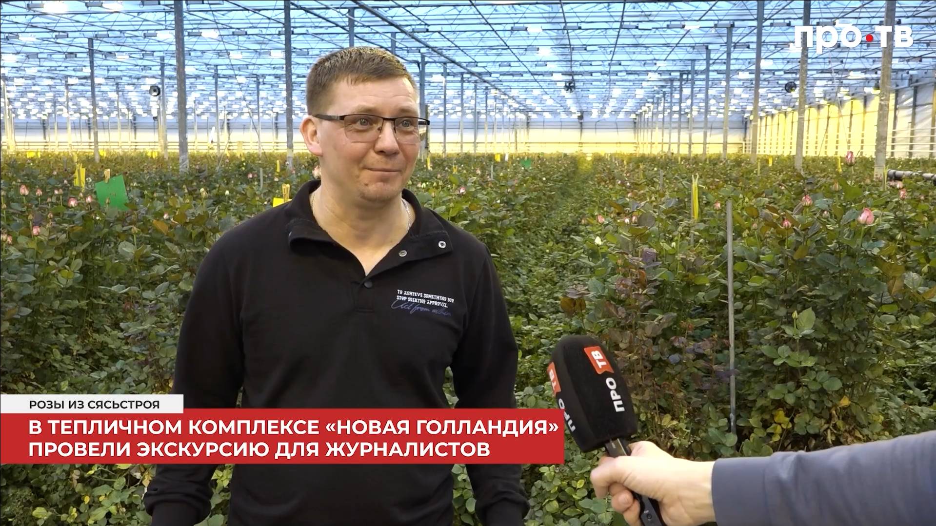 Более 200 человек подобрал для предприятия по выращиванию роз Центр занятости Ленинградской области