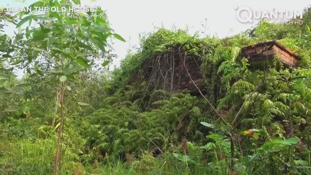 Трое мужчин очистили 70-летний засыпанный дом и дали ему вторую жизнь