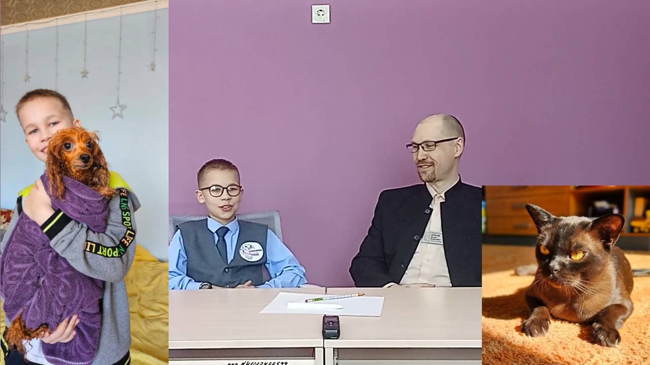 Муравьиная ферма, программирование на Scratch, квадроберы, бумажные самолётики и рисунки