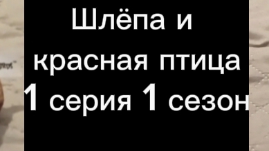 Шлёпа и подарки Шлёпа и красная птица 1 серия 1 сезон