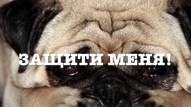 Как расчеловечивают русских? Очень просто! Открытое обращение ко всем русским людям и пастырям!