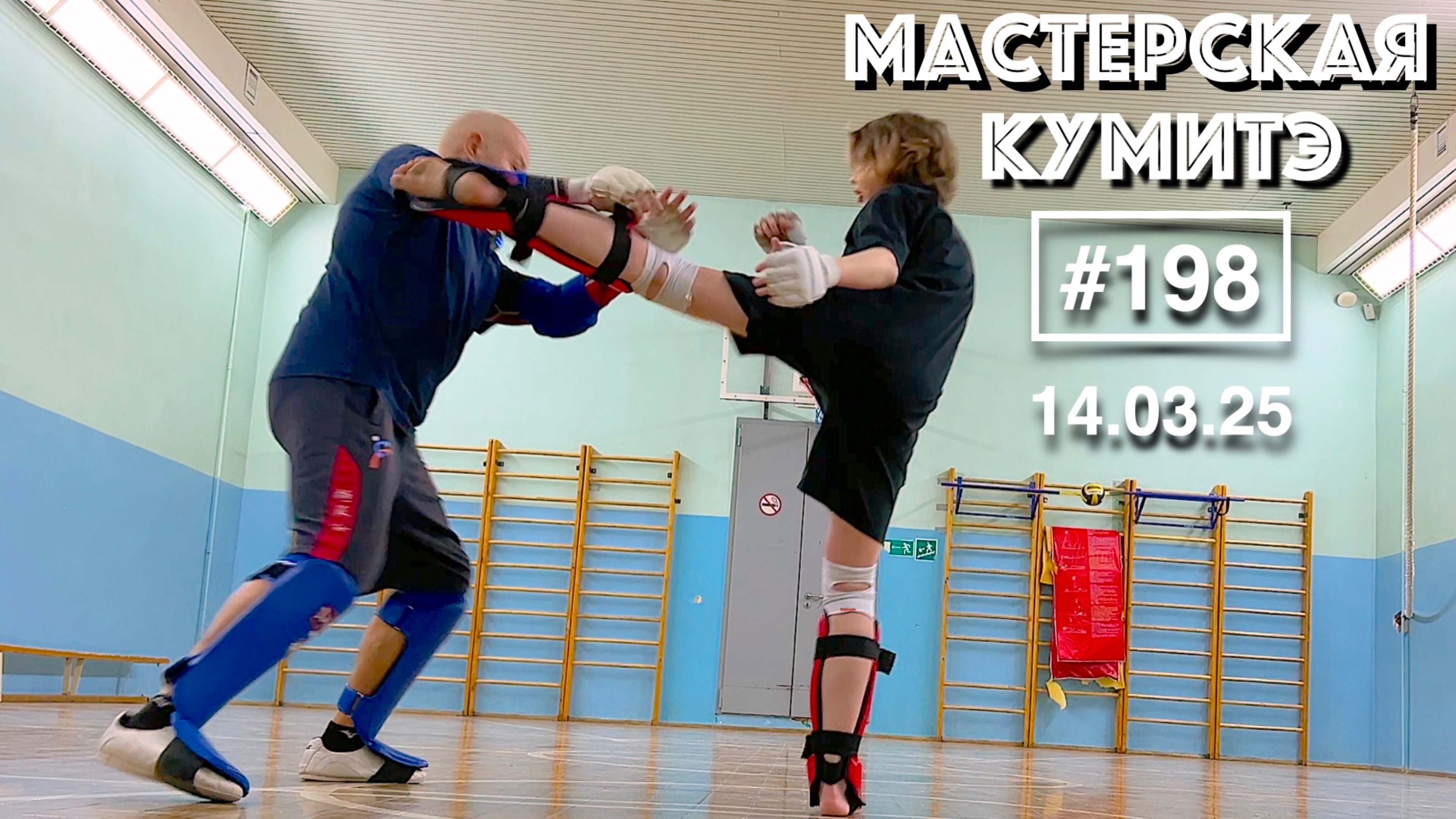 Мастерская Кумитэ Кёкусинкай (198) / Защита от Маэ-гэри тюдан и Маваси-гэри дзёдан (14.03.25)