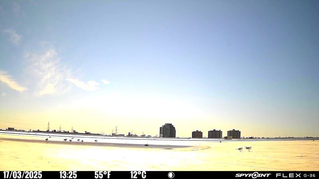 Небо, Чайки, и Музыка для отдыха