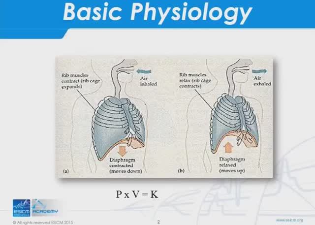 The physiopathology of ARF Antonelli Massimo 2018