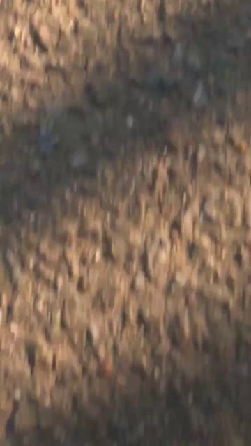 Залипательное видео.