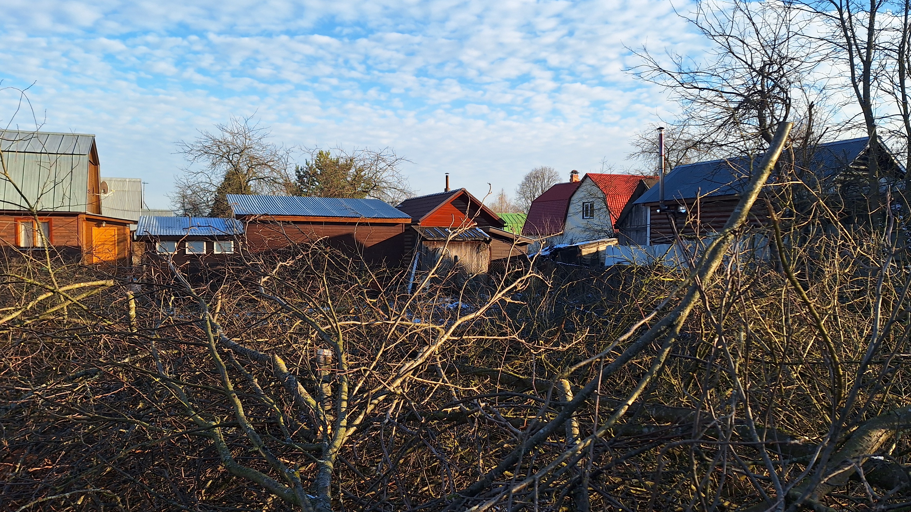 15.03.25 Опять приехала на 101 участок