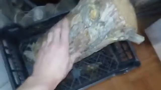 Сверхдлительное горение в кирпичной печи