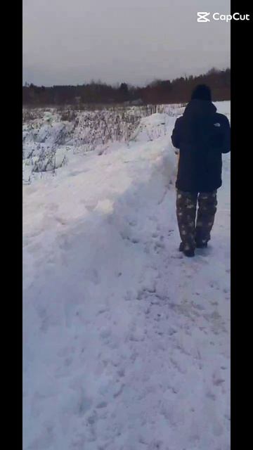 Прогулка с алабаем.