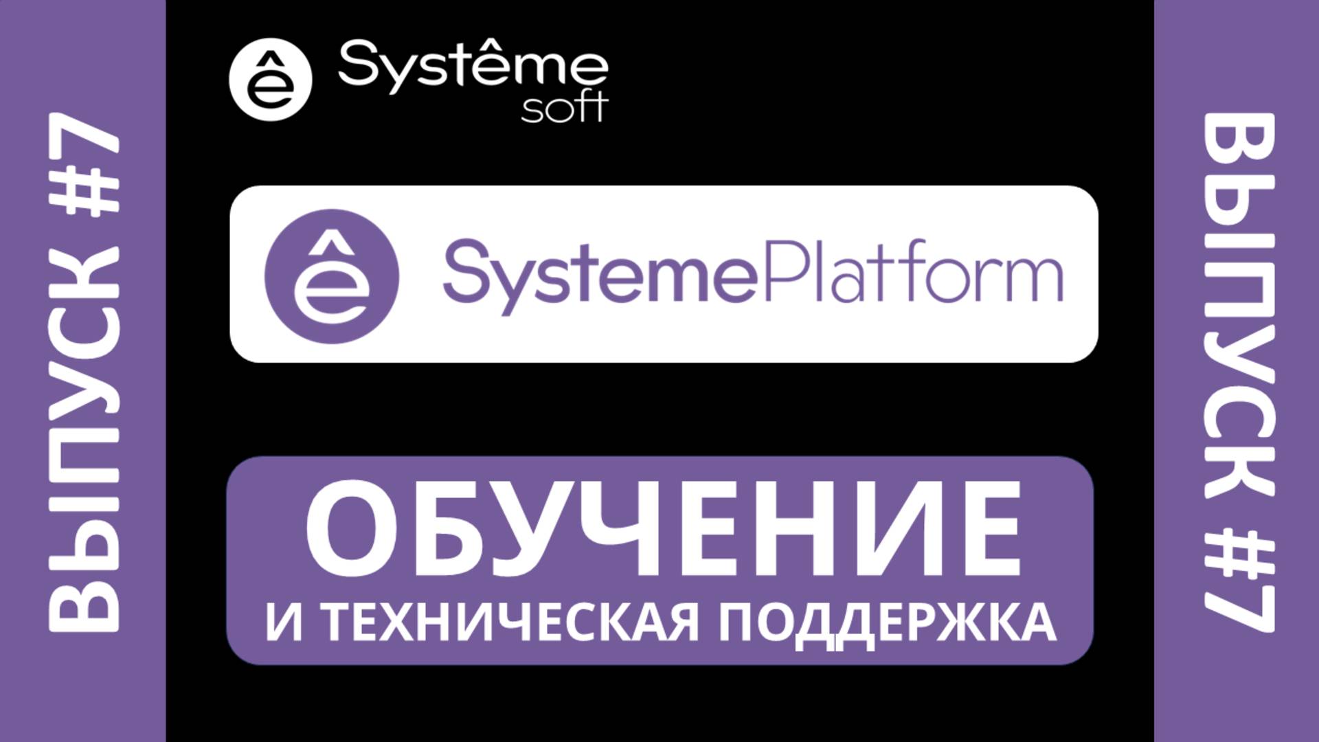 SystemePlatform: обучение и техническая поддержка