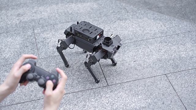 Обзор набора "Робопес ПРО"