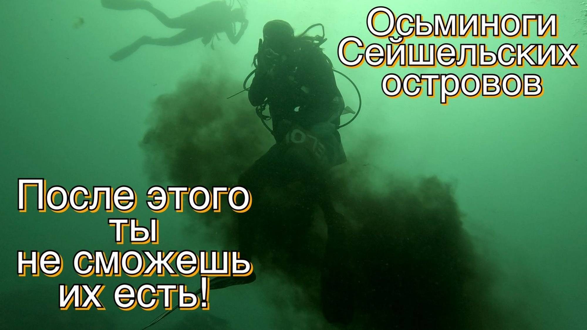 Осьминоги Сейшельских островов. Теперь вы не сможете есть осьминогов!