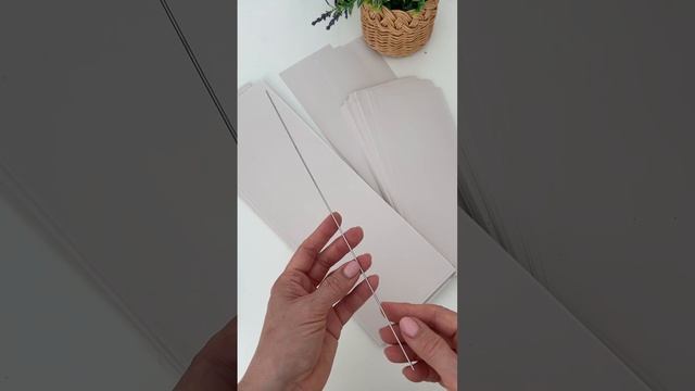 Секреты качественной лозы