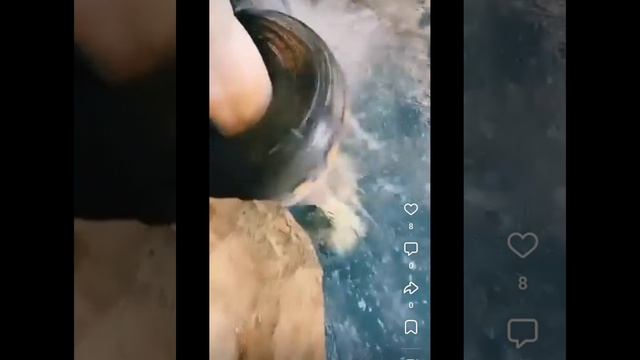 Вот так пойдёшь купаться, а тебя съедят