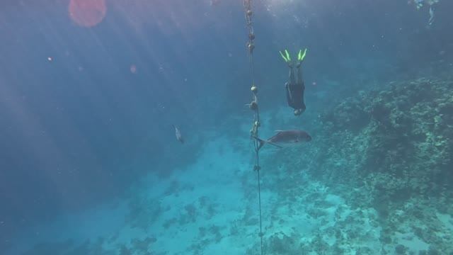 Обзор бухты Шаркс бей ( Shark's Bay) 2 серия. От рассвета до заката.