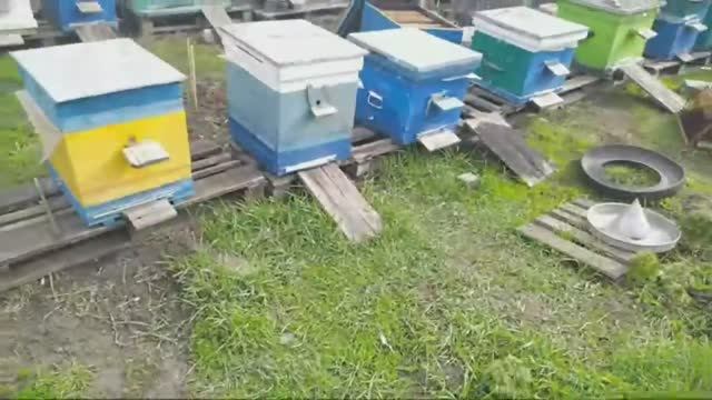 Будни на Усадьбе. 26/04/2021.