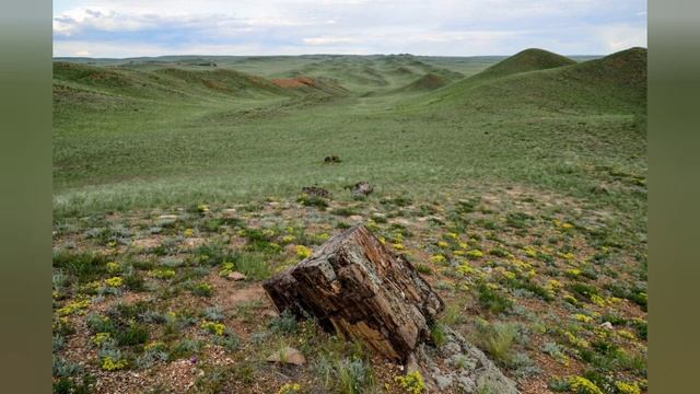 Достопримечательности города Оренбург