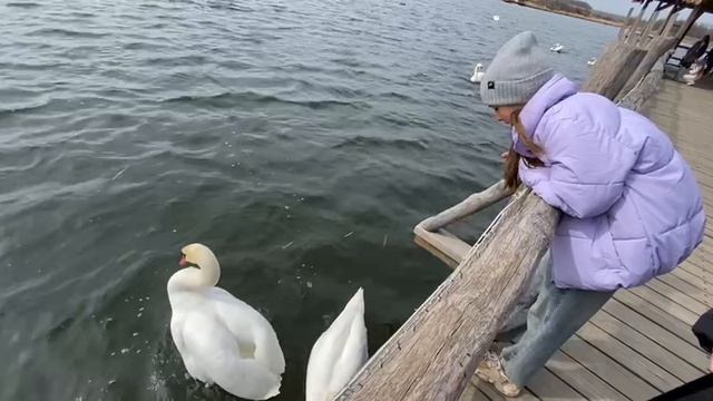 Парк Малинки 2025