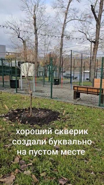 На этом месте был какой-то заброшенный пятачок, мрачные деревья и мусор за остановкой. За лето созда