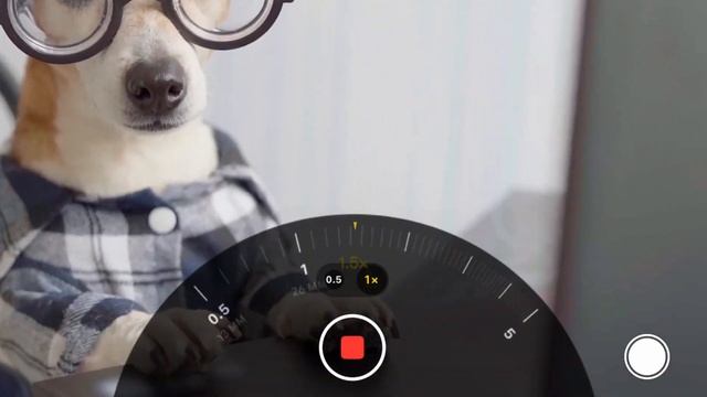 Планы на подкасты со студентами (на английском)