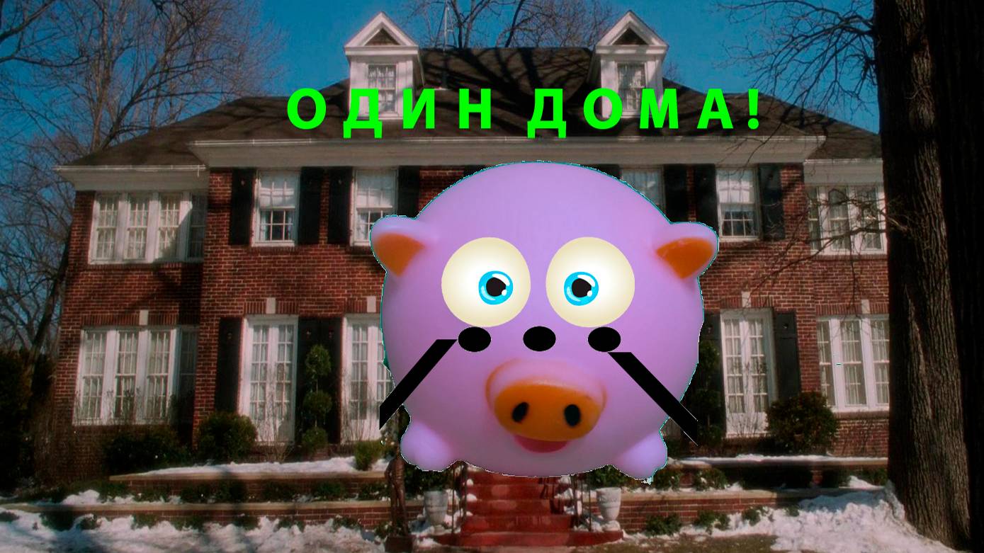 СИВЛИ ОСТАЛСЯ ОДИН ДОМА! ЧТО С НИМ СЛУЧИЛОСЬ?!