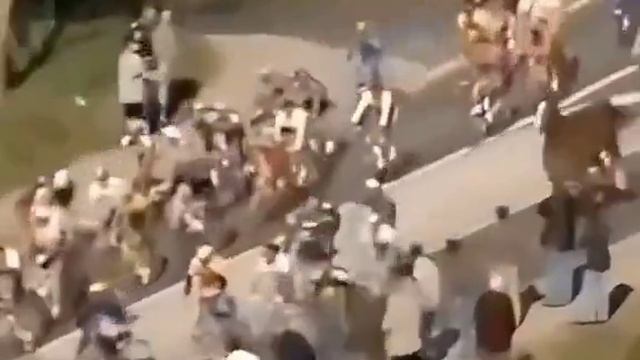 Этот конь всю свою жизнь ждал этого момента...