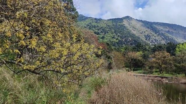 8 Большой Утриш