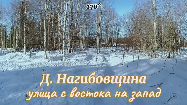 Деревня Нагибовщина, улица с востока на запад.mp4