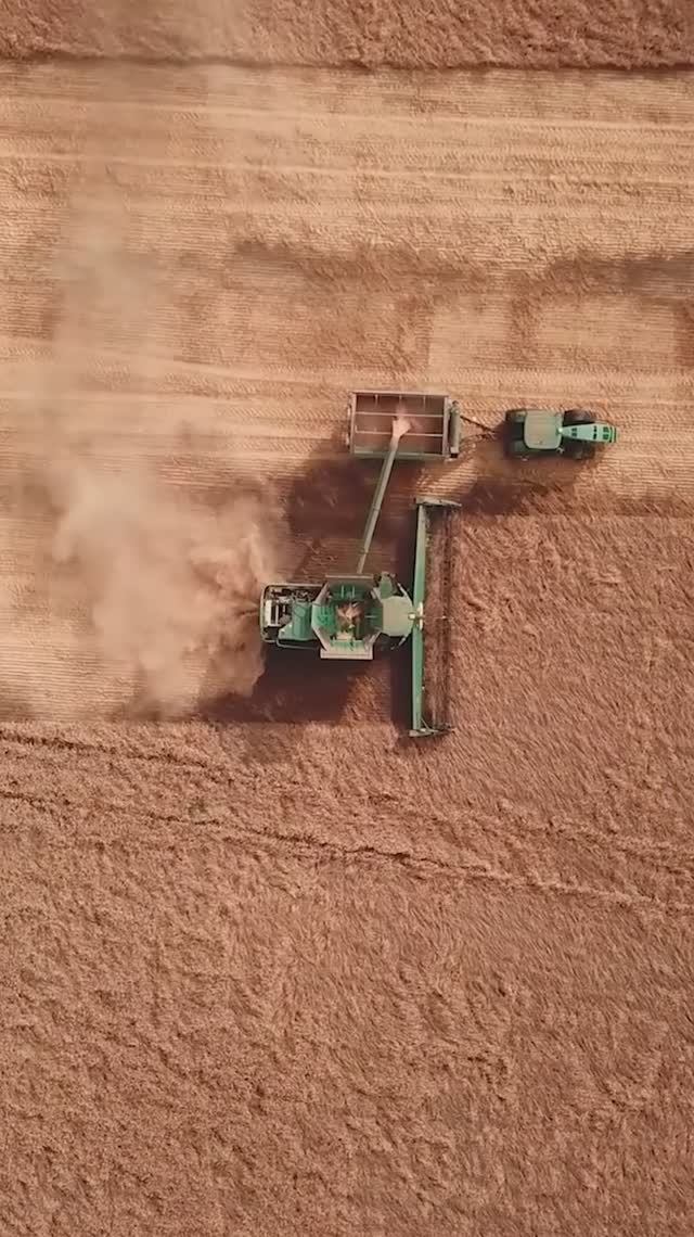 Агро-съемка | KUKURUZA продакшн-студия