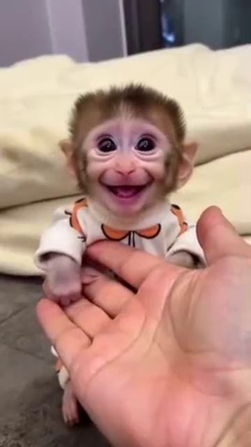 Когда меня похвалили