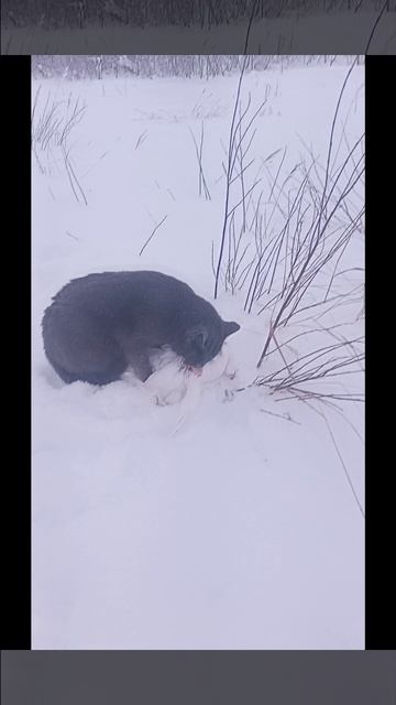 Вы кто такие? Я вас не звал!