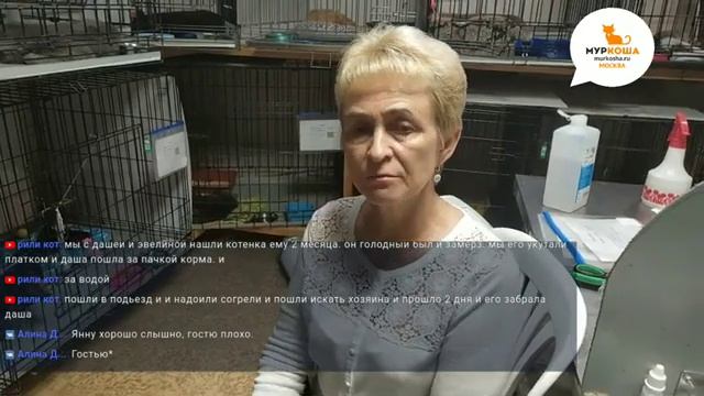 Врач аллерголог-иммунолог в гостях у "Муркоши". Эфир 17.08.2019