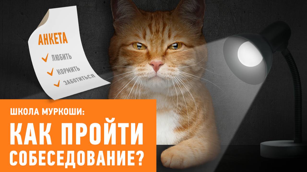 Школа Муркоши #8. Как пройти собеседование в приюте?
