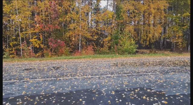 БУТ Флюс - Северка