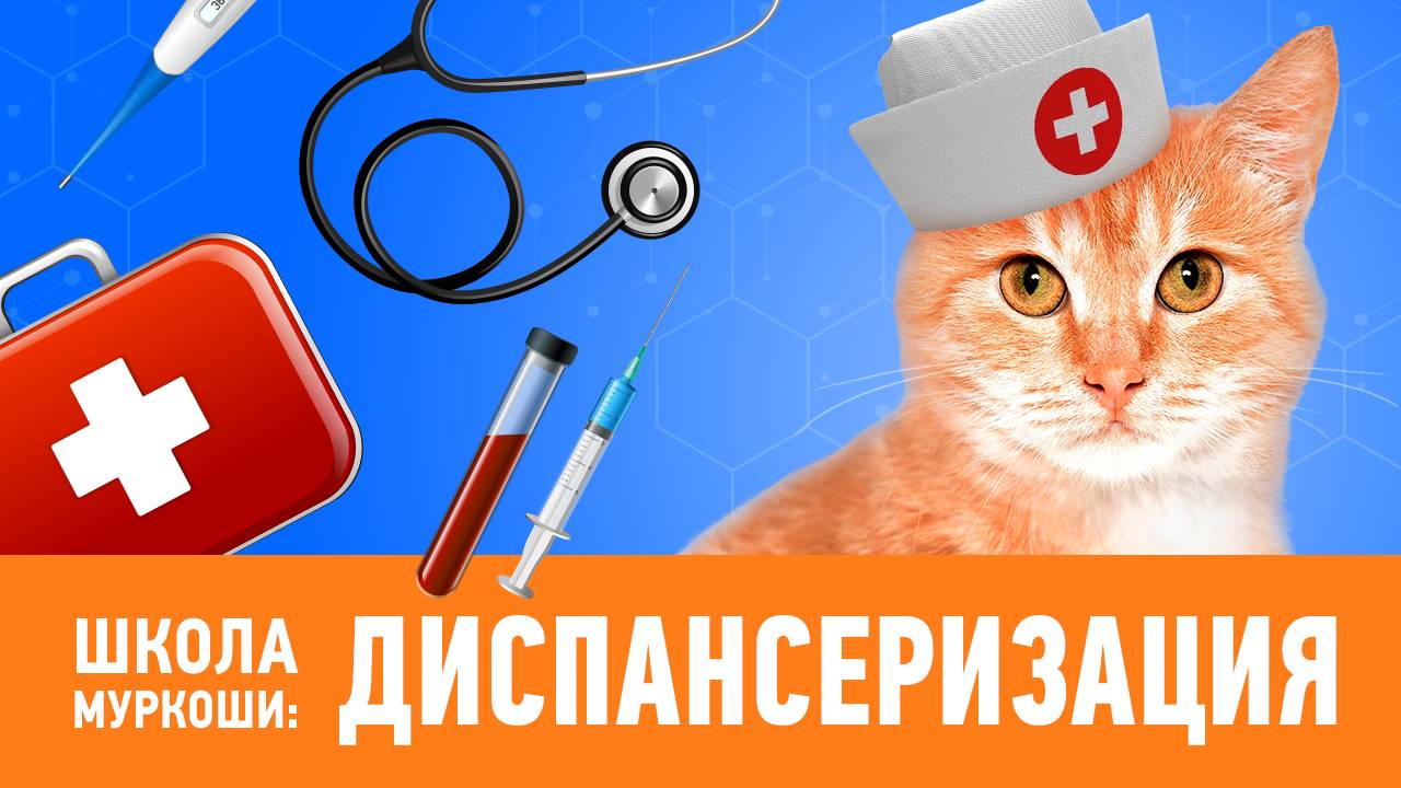 Школа Муркоши #10. Диспансеризация.