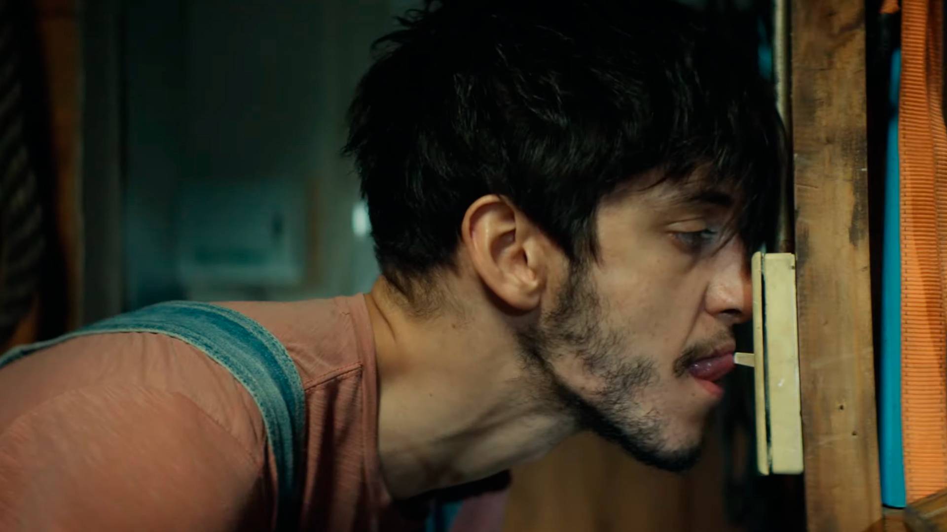 Безумная реклама сети строительных магазинов HORNBACH