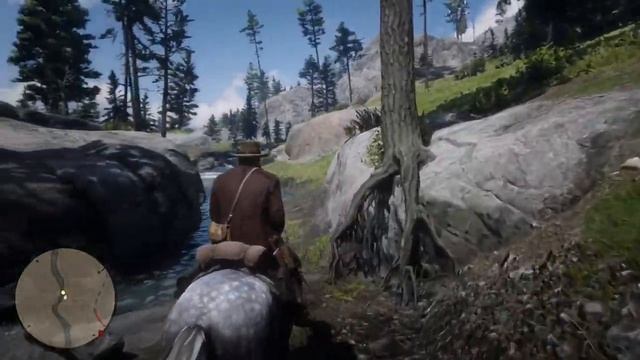 Прохождение игры Red Dead Redemption 2 #17 Проклятая кошка (без комментариев)