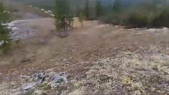 Встреча с медведем.