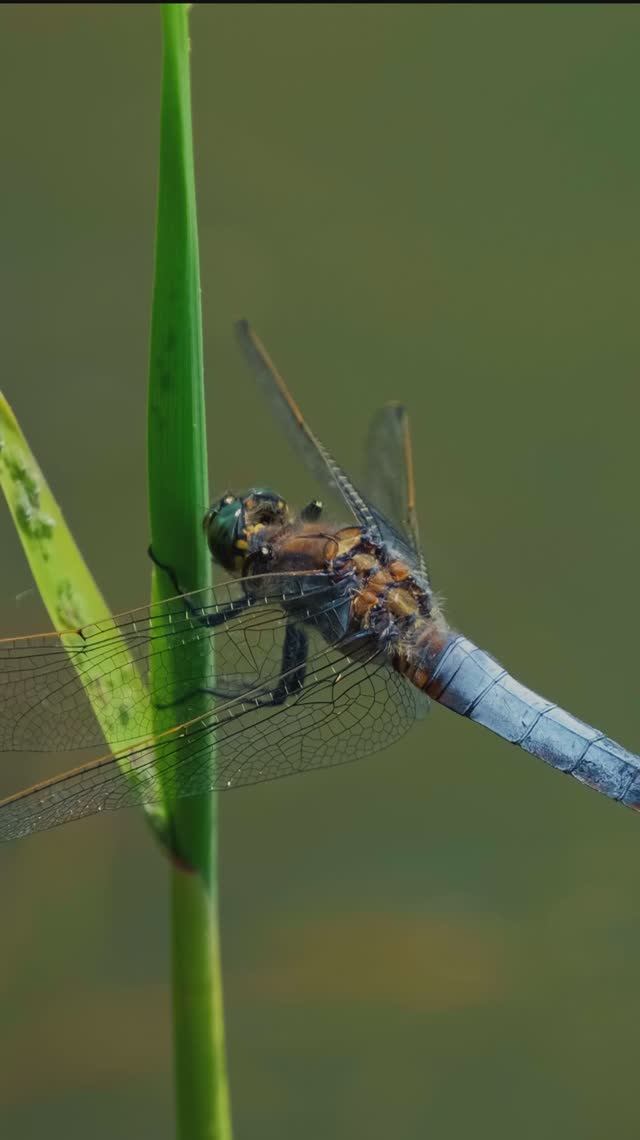 Трудовая летняя рыбалка. Скоро на канале!)
