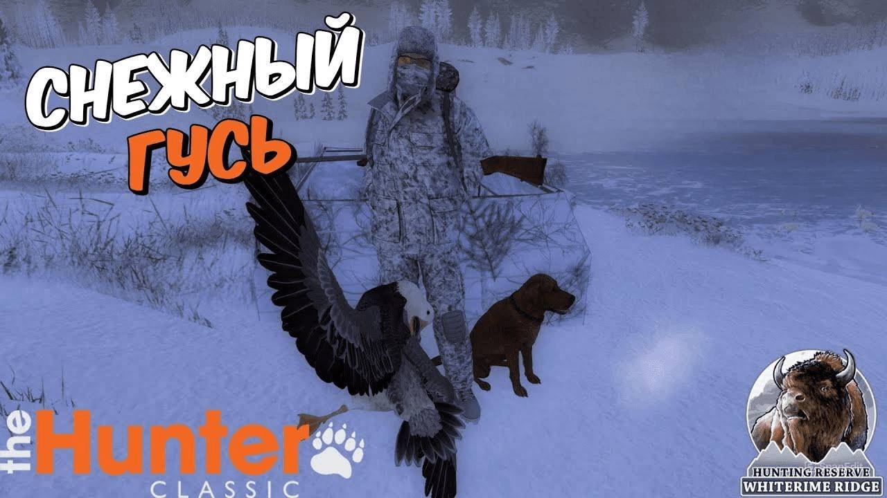 The Hunter Classic:: Скрытная Охота в Прямом Эфире! #9 Пробую добывать Снежного Гуся.