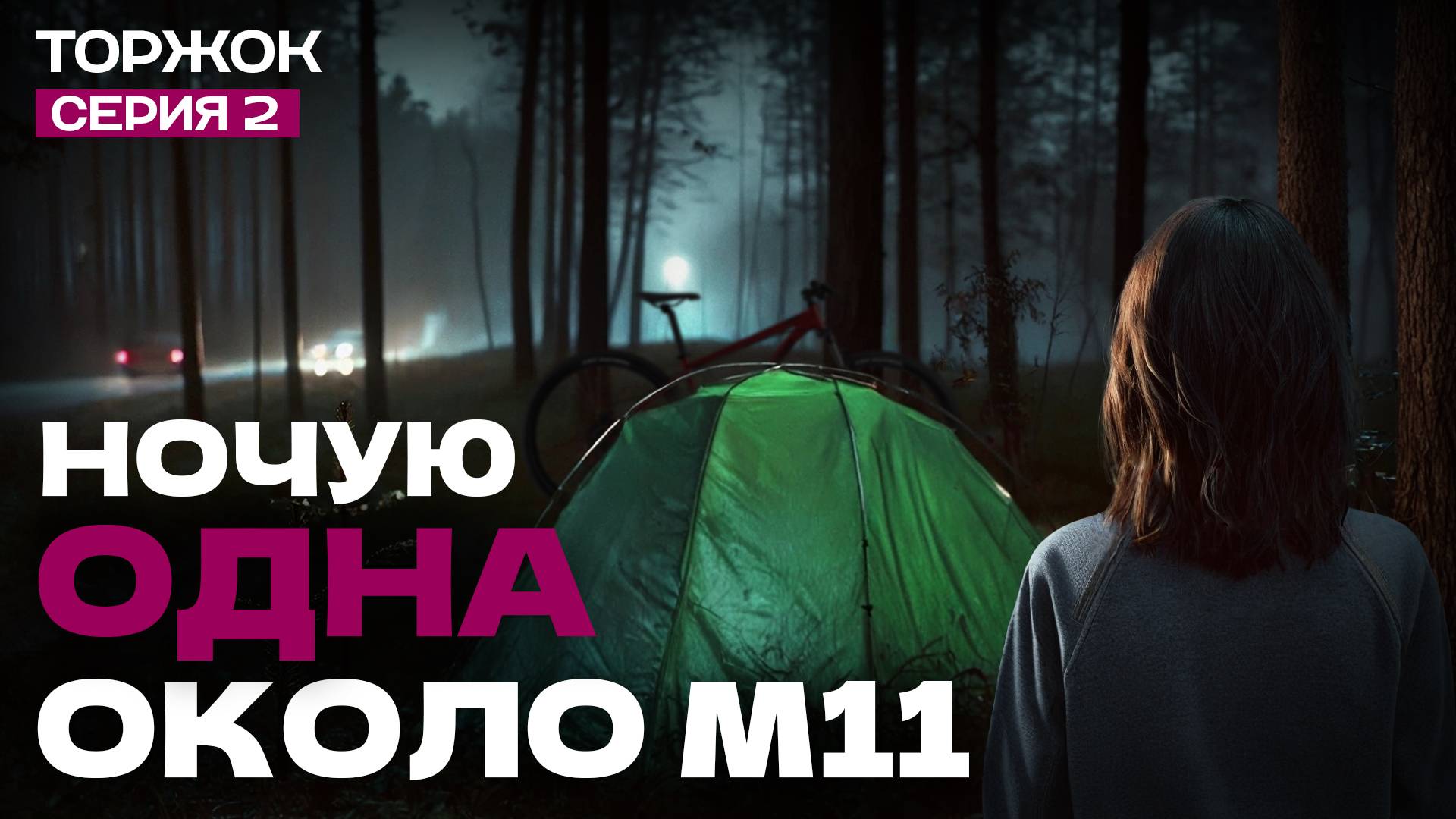 Одна ночую в палатке в лесу под дождем у трассы М11. Велопоход Тверь – Торжок 🌲🌧
