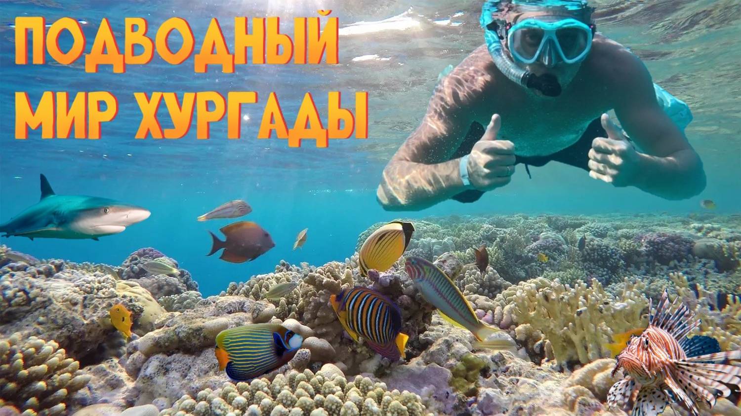 Подводный мир хургады. Плаваем среди экзотических рыб.