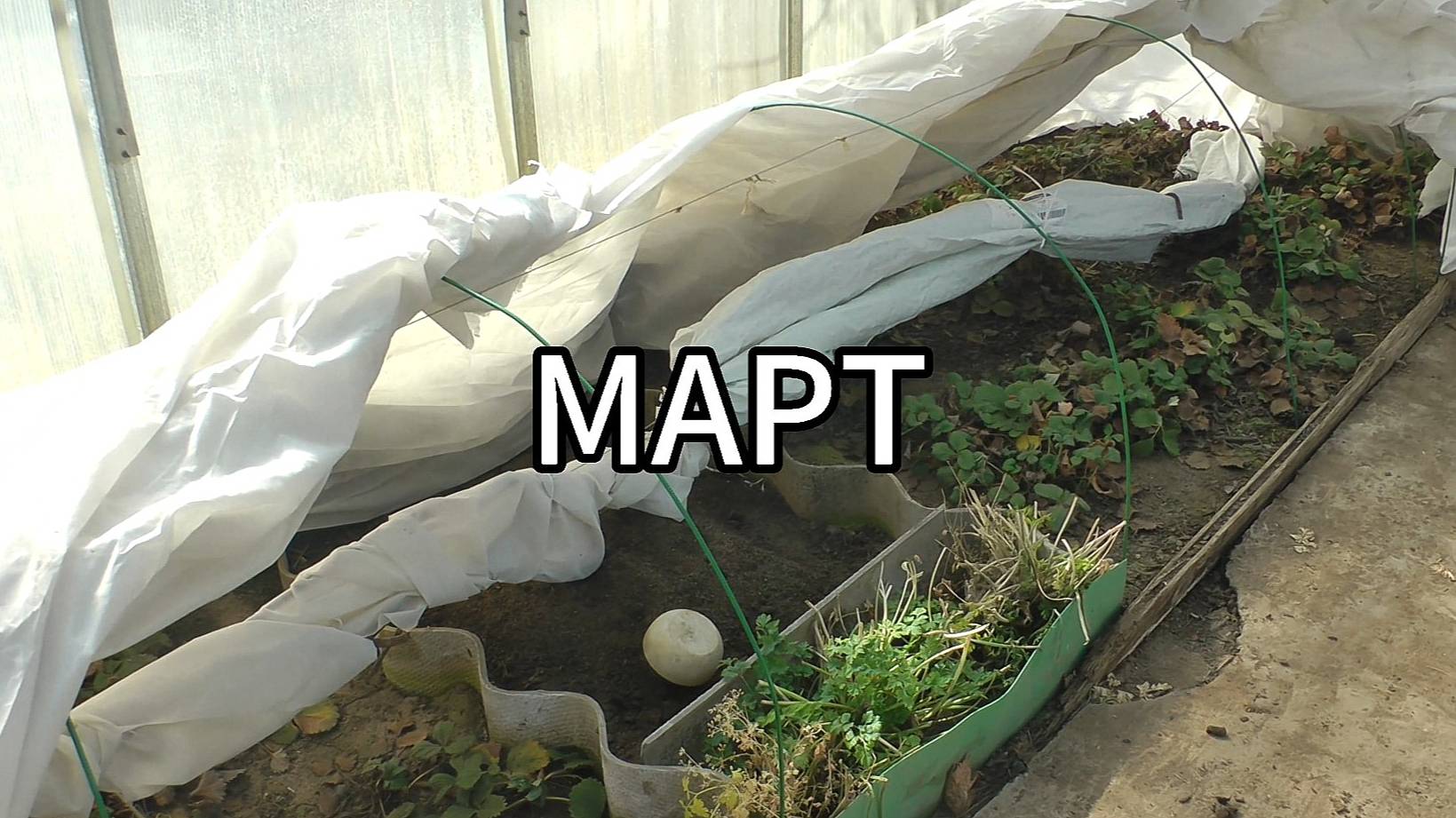 3. Календарь дачника. Март.