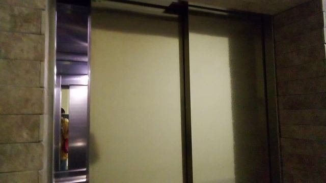 Лифт СитиЛифт вне обычном стиле 2018 года ТК Круиз (г.Гусь-Хрустальный)