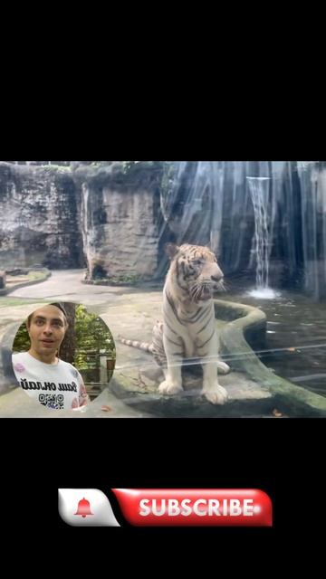 Превью Хошимин - Китай