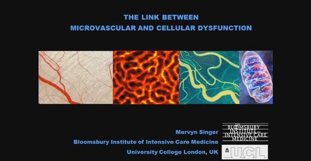Microvascular and cellular dysfunction 2015  Mervyn Singer