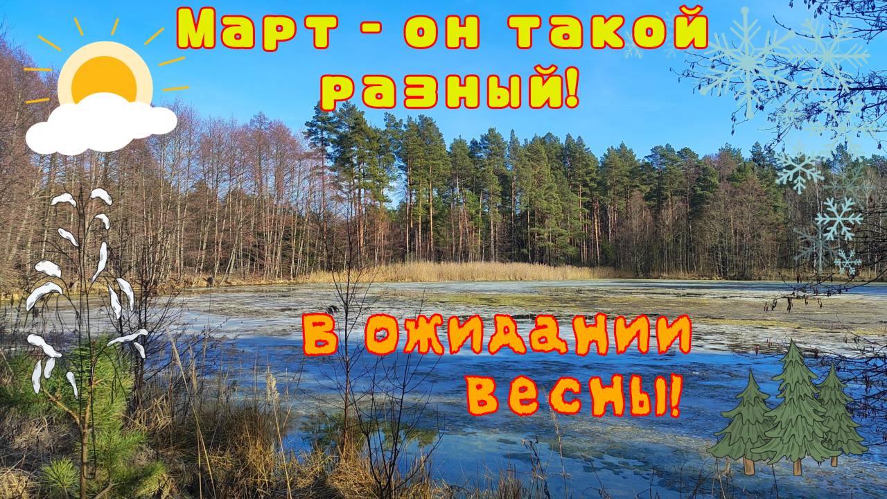 В ожидании весны / Орловское полесье / Парк Ботаника / Река Ока # природа #весна #орловскоеполесье