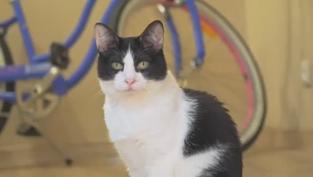 В гостях у Луисы!