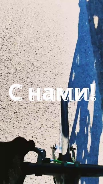 Велосезон 2025