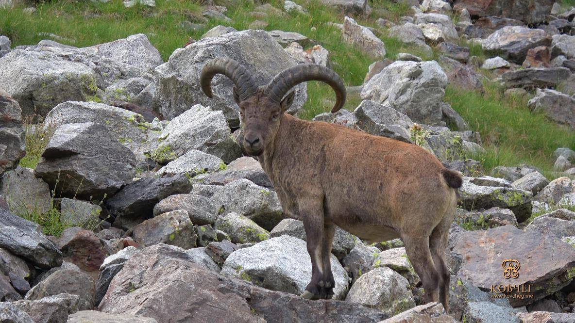 Туры Кавказа. Тайна гор